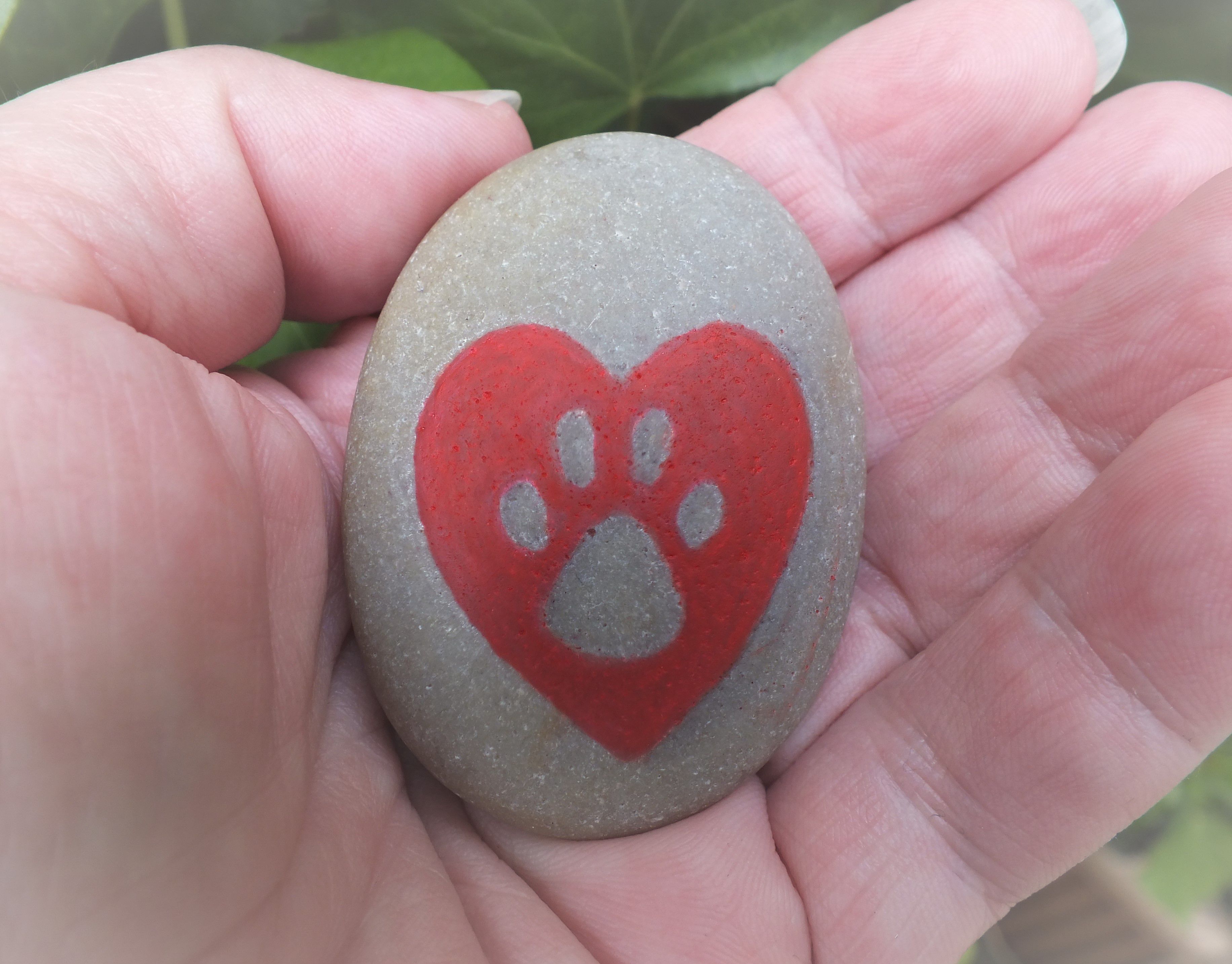 Paw print on your heart pebble